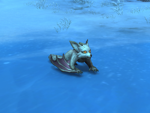 Cómo conseguir la mascota Mostacho Blanco (Dragonflight) - AlterTime