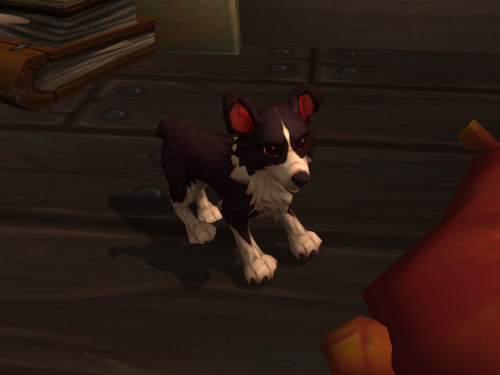 Gizmo, homenaje de Blizzard en Boralus - Curiosidades Warcraft - AlterTime